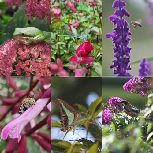 Collections – Planters Patch